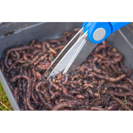 CISEAUX DOUBLE CHOP WORM SCISSORS MAP