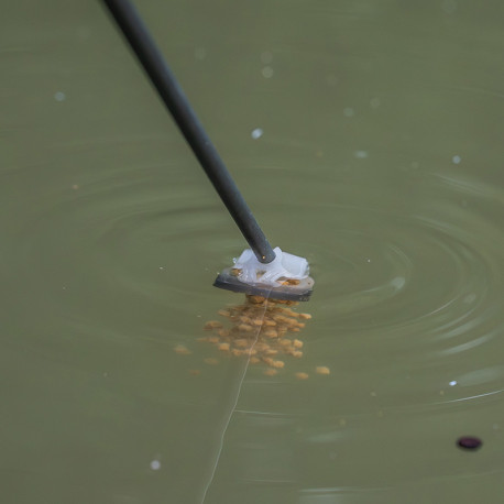 COUPELLE DE SCION FAST RELEASE POLE POTS GURU